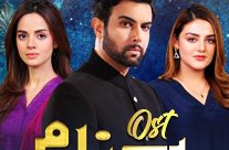 ARY DIGITAL - Watch All ARY Digital Dramas in HD Quality.